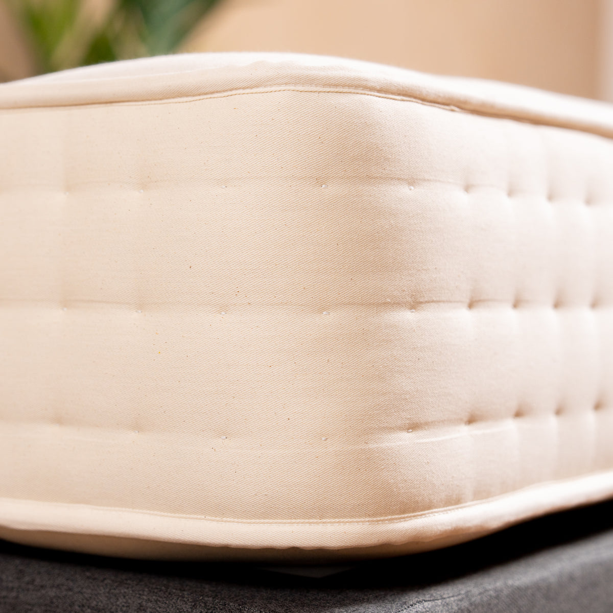 5'0 Cotton (Extra Firm) CLEARANCE – Harry Benmore Mattress Maker